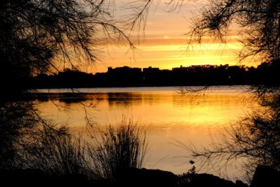 How to experience the best of Heirisson Island - Perth Happenings