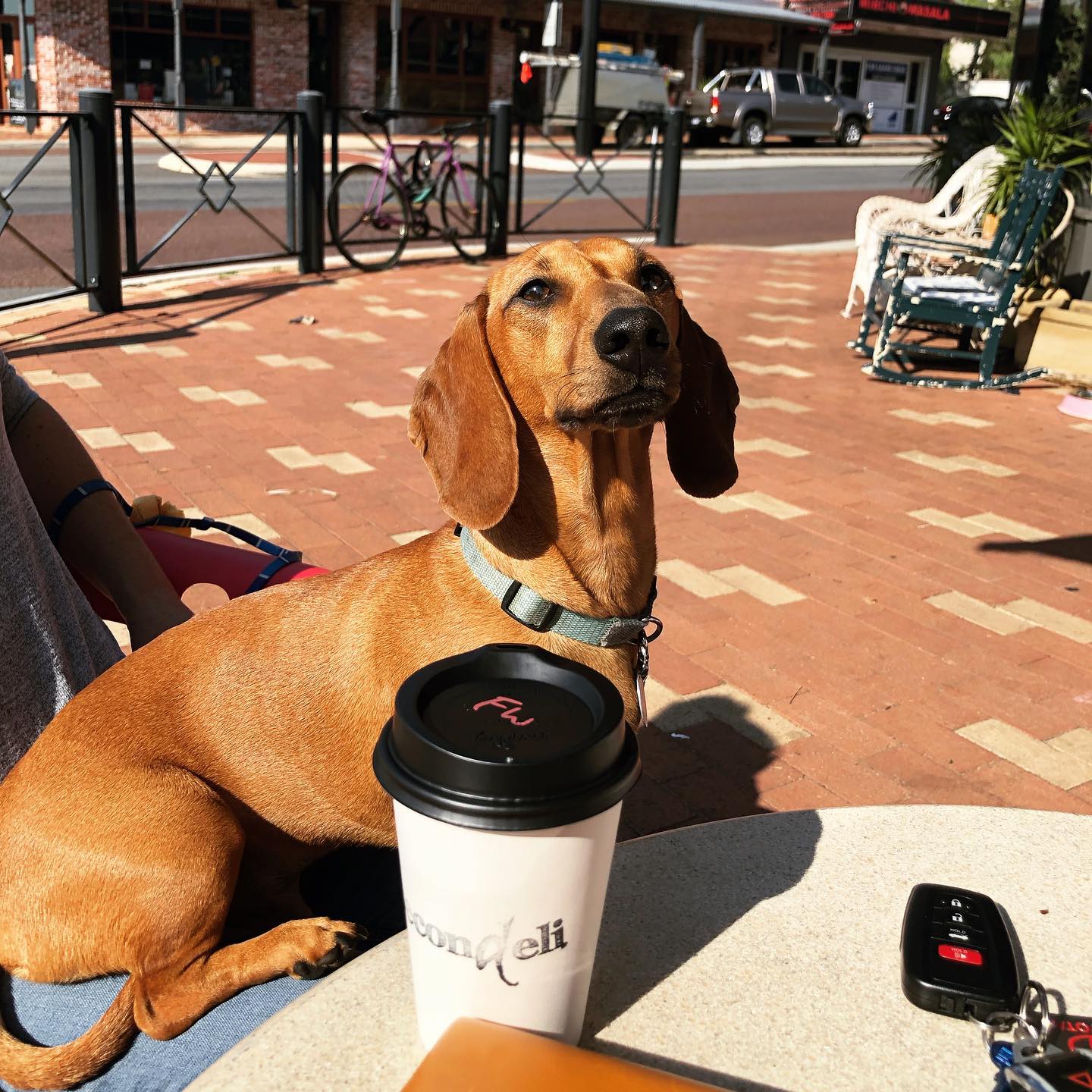 The 11 best cafés in Mount Lawley - Perth Happenings