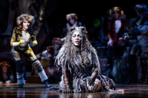 Review: Cats the Musical - Perth Happenings
